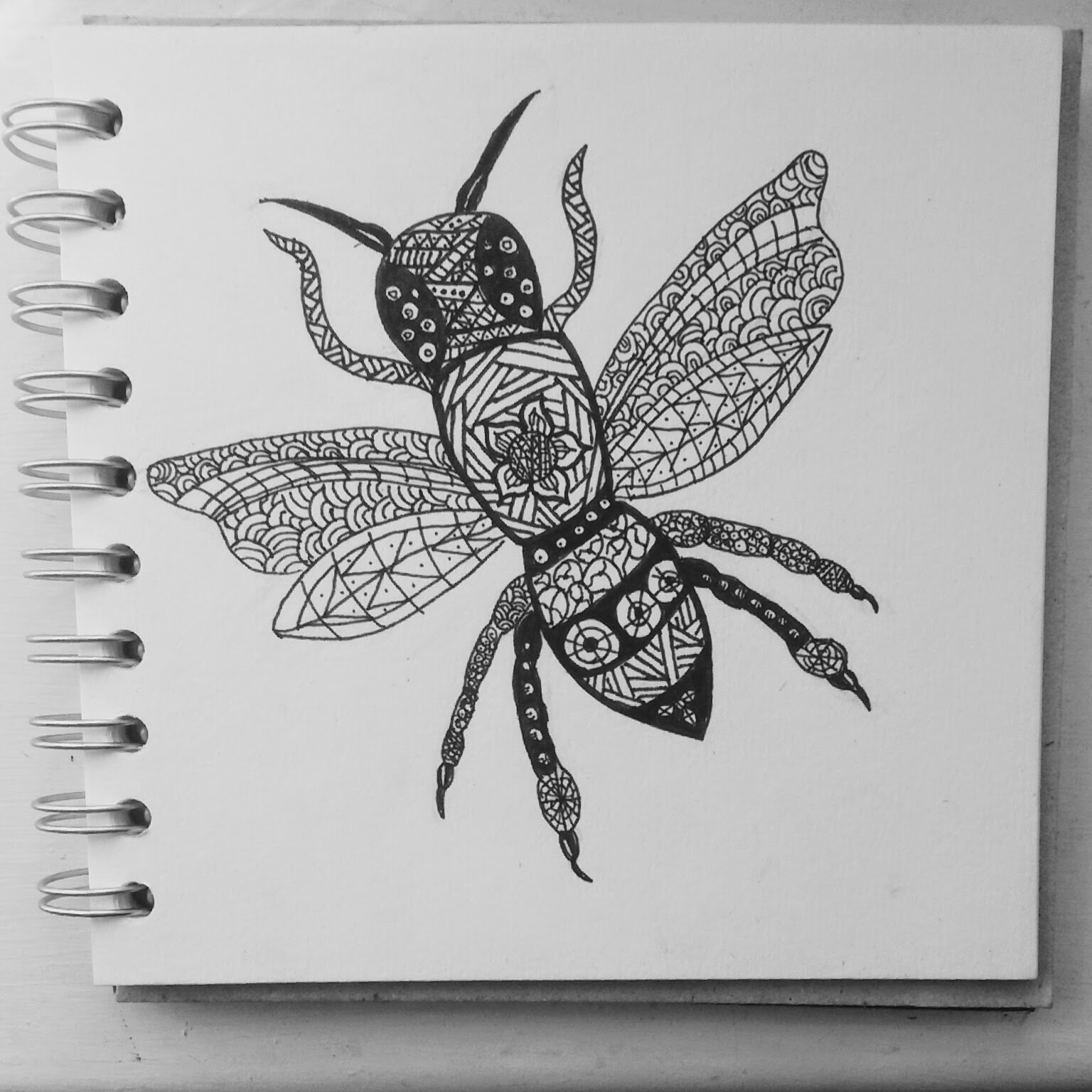 s e r e n e | s k e t c h e s: Zentangle insects