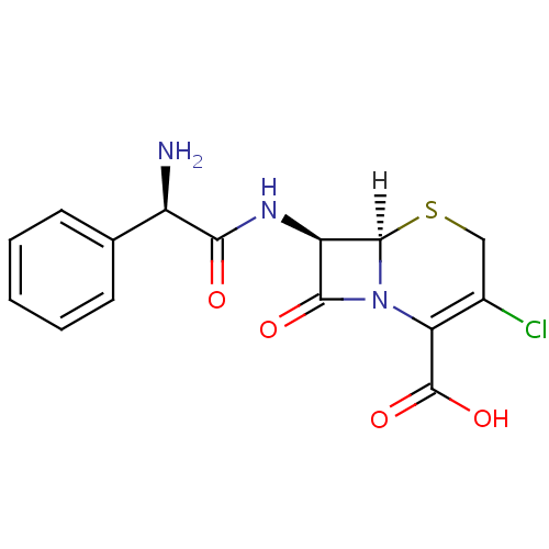 Pharmacology Of Cefaclor