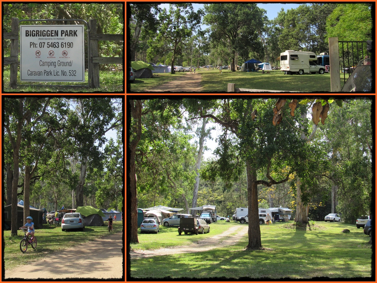 Camping Queensland and Australia: Easter 2016 at Bigriggen Campground ...