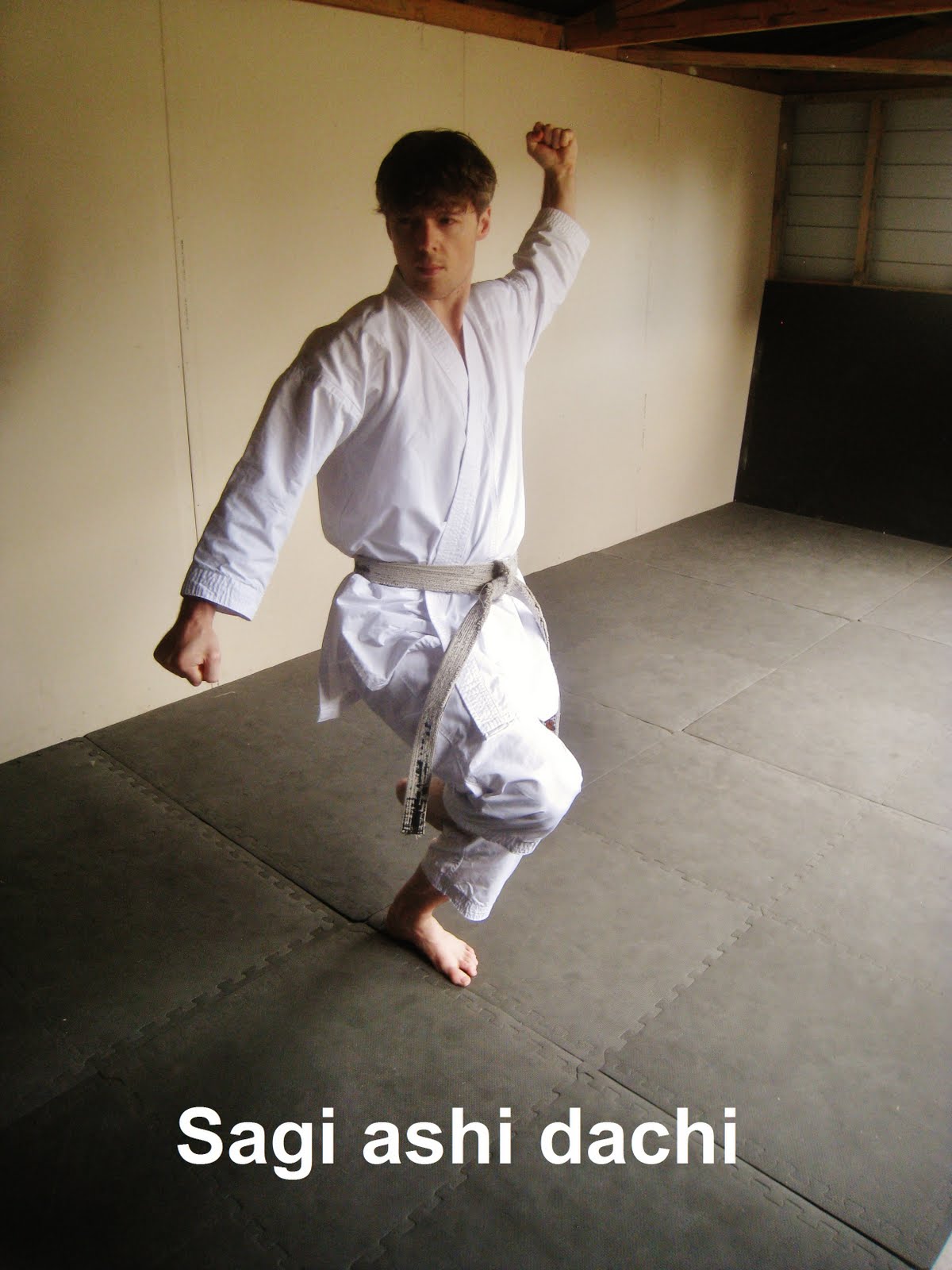 André Bertel's Karate-Do: Taking a stance!