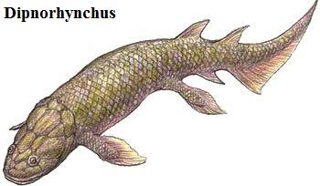 Los animales en la prehistoria: mayo 2013