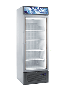 SYARIKAT FUJI: Upright Display Freezer