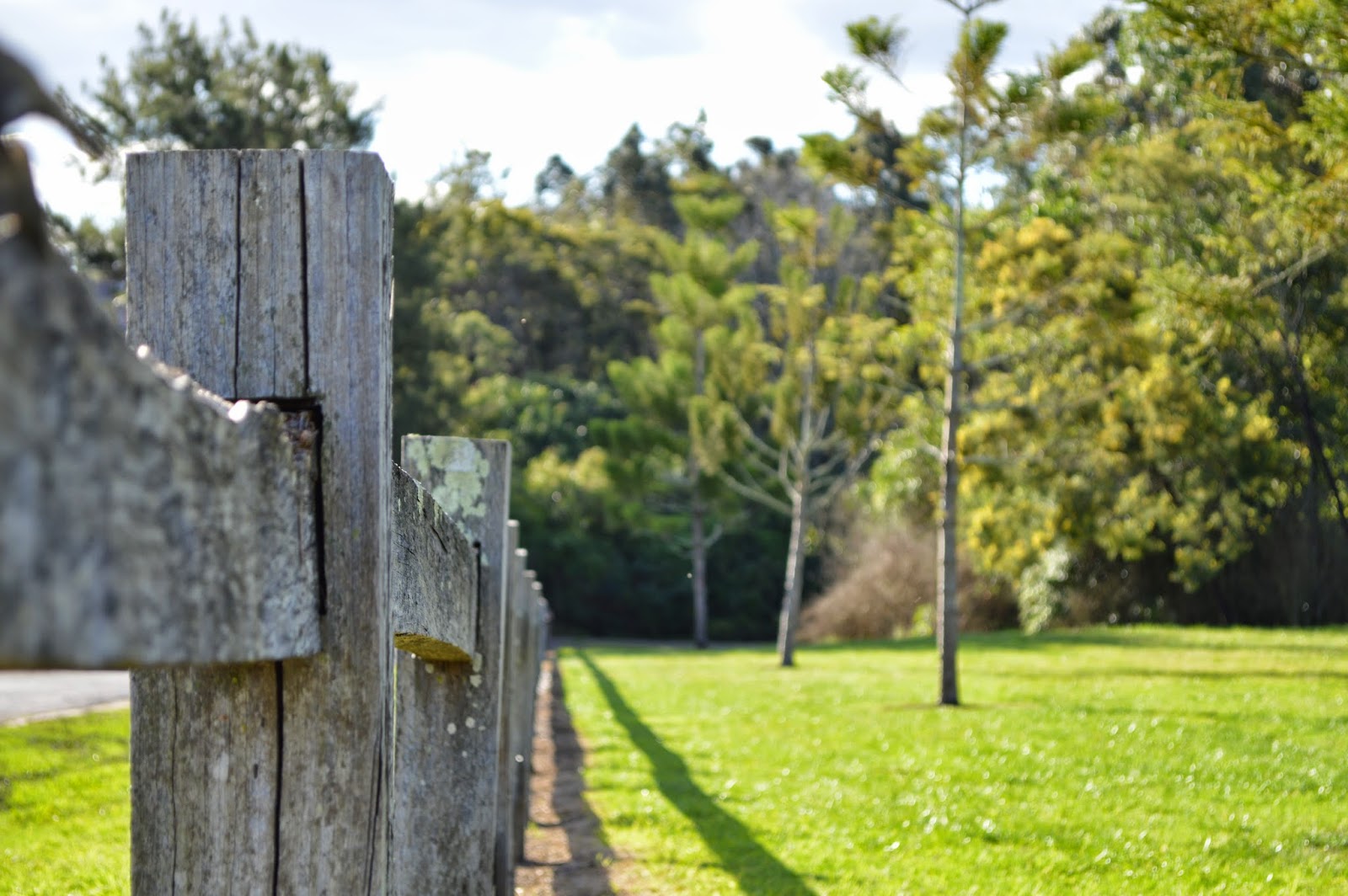 Lachlan Williams Portfolio