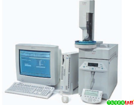 [Microbiology] Biochemical Identification of Gram-Negative Bacteria ...