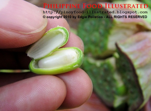 Philippine Food Illustrated: sawa