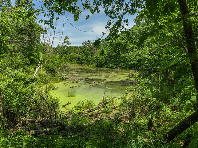 Hiking the Ice Age Trail Stony Ridge Segment