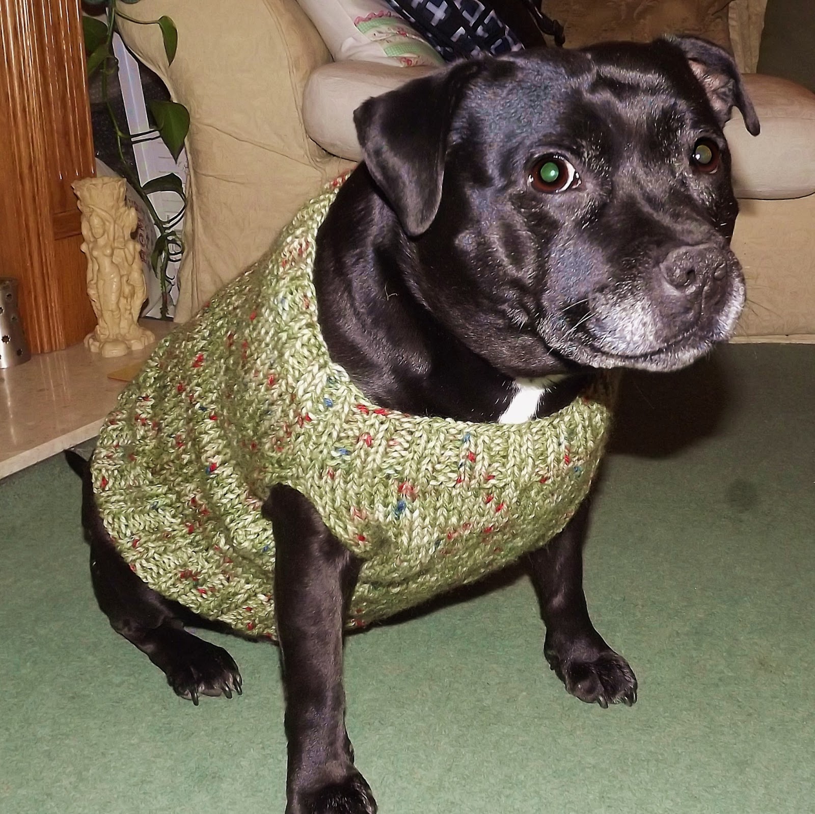 Tilly's Crafts: Tilly The Dog - Supermodel!