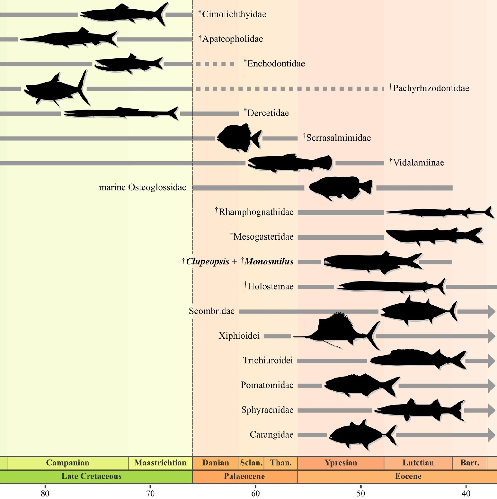 Species New to Science: [PaleoIchthyology • 2020] Monosmilus ...