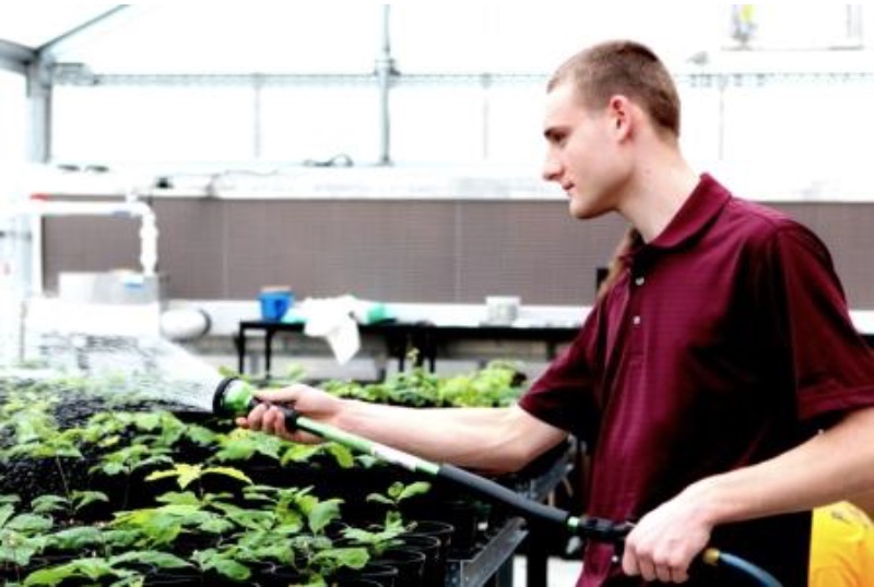 PA Environment Digest Blog: Project Learning Tree Environmental ...