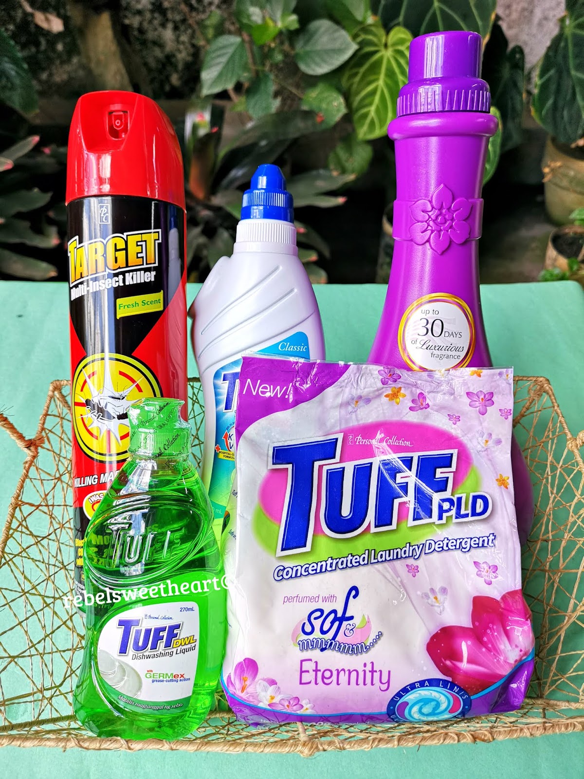 The Rebel Sweetheart.: For Homecare Products, #VotePC2019.