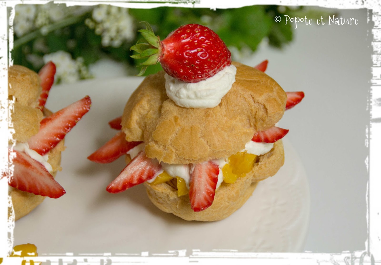 Popote et Nature: Des choux aux fruits frais avec une chantilly ...