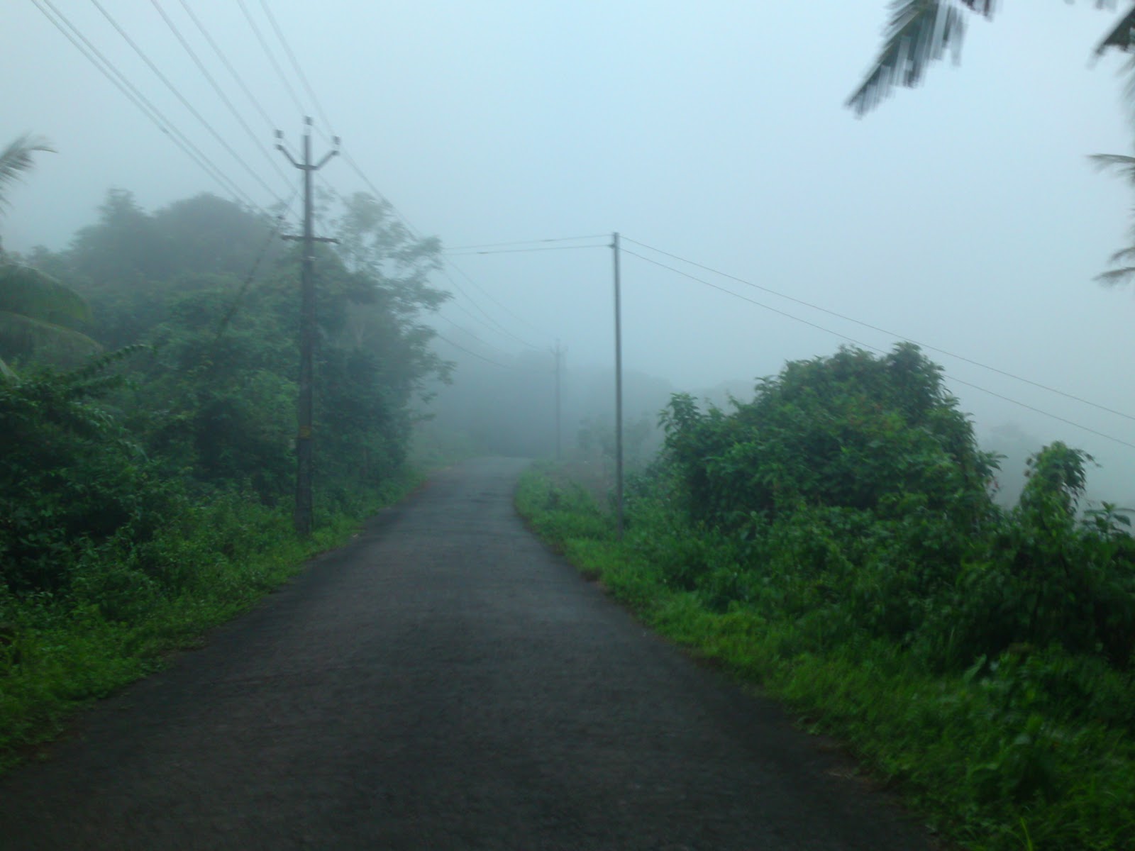 Keralatheeram.com: Ezhimala Hill