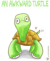 July 2013 | Awkward Turtle