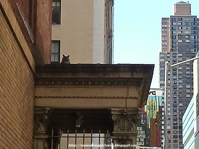 My Walking Pictures: Cherry Walk in 2013