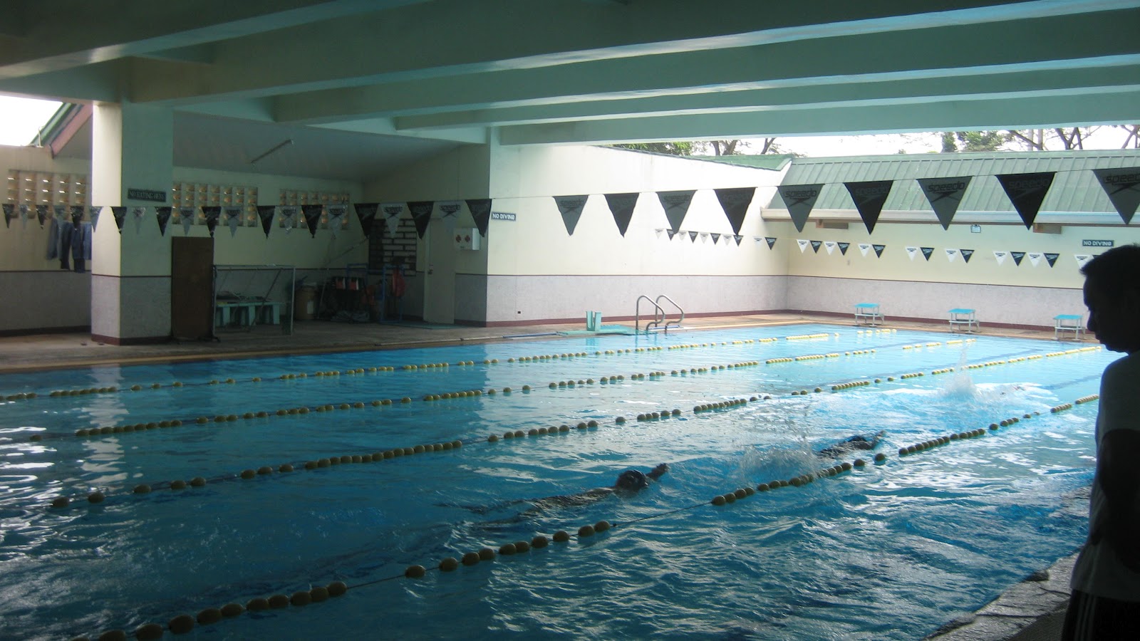 Elizabeth Seton School South's Open House - Glamma Momma