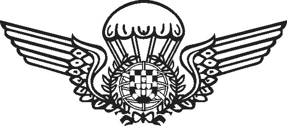 leãoparaquedista: ASSOCIAÇÃO DE PÁRA-QUEDISTAS DO VALE D'ESTE