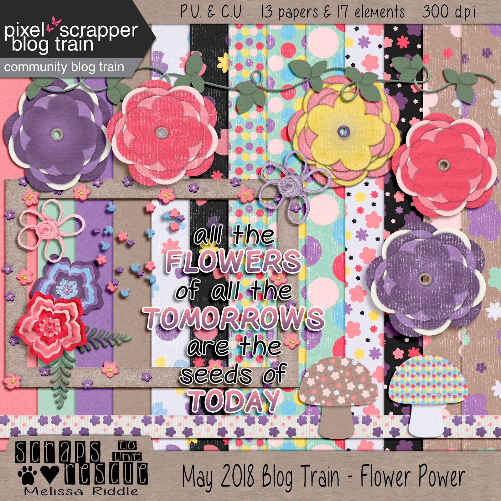 Scraps to the Rescue