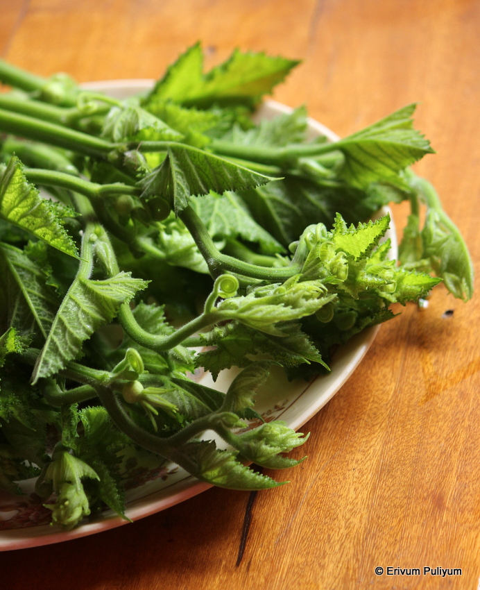 Erivum Puliyum: Mathan Ela Thoran | Pumpkin Leaves Stir fry