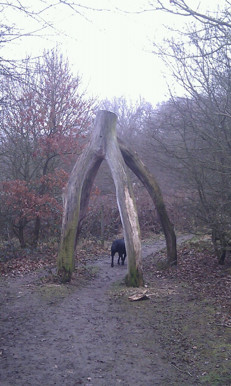 TheLondonLoop: London LOOP-Walk from Hainault Forest to Chingford 12.03.12