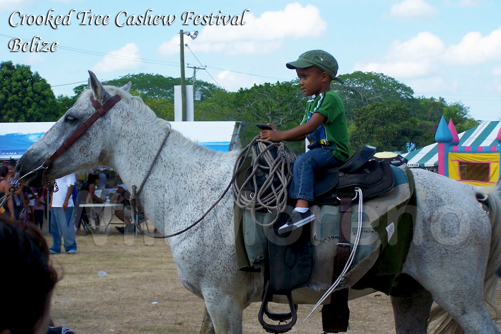 Platinum International Real Estate and Investments - Belize Division ...