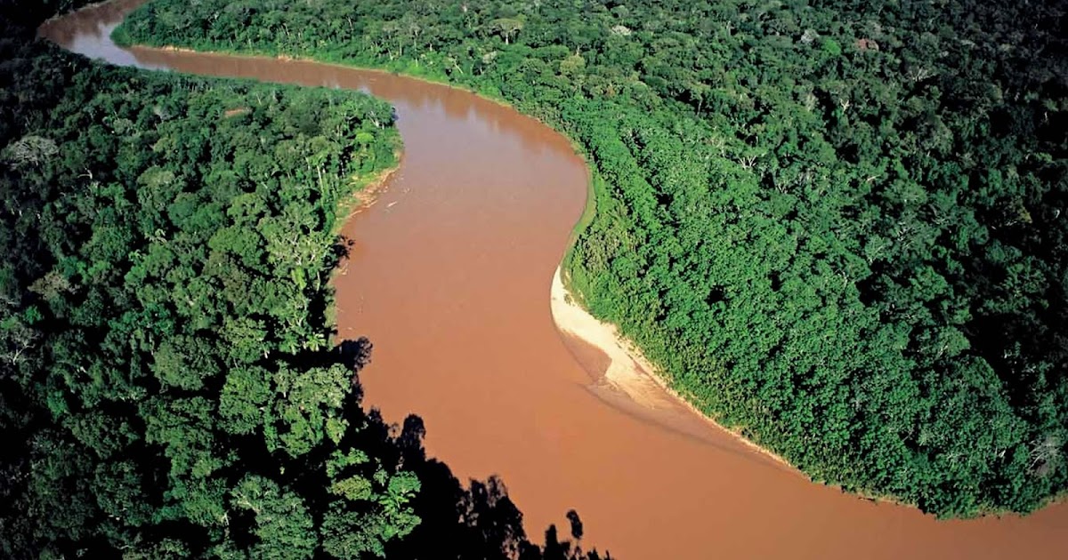 Rio Amazonas Peru | Turismo peru, lugares turisticos peru, destinos ...