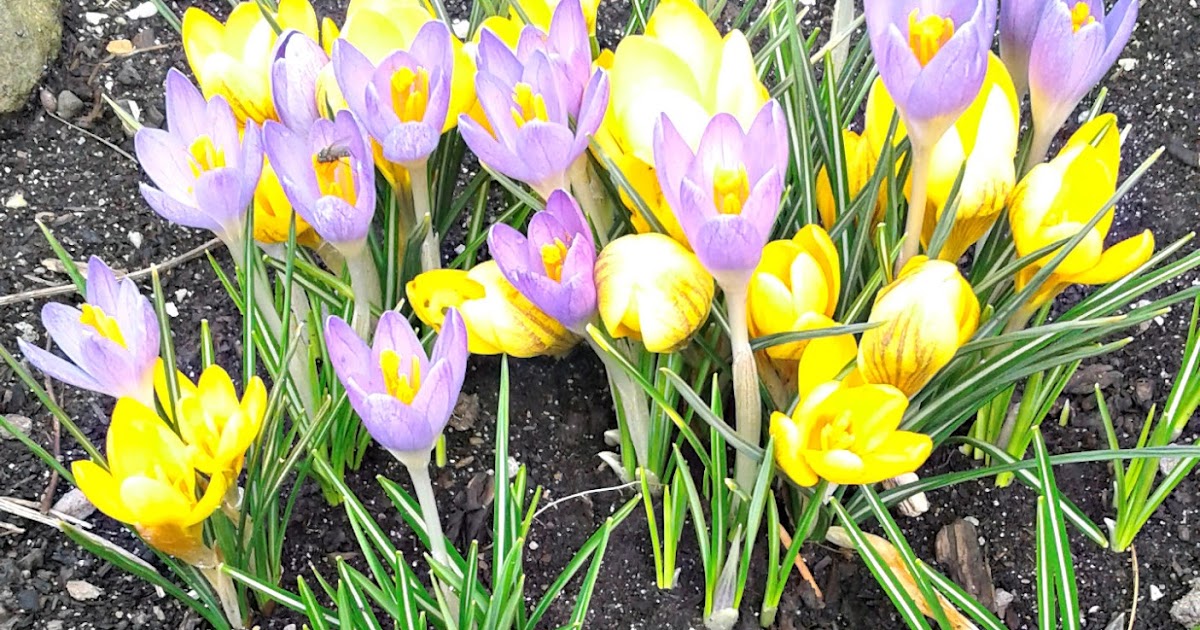 Day One Photography: Spring Has Finally Sprung!