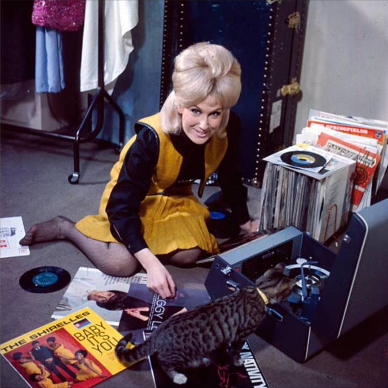 Britain's Queen of Pop: 46 Beautiful Photos of Dusty Springfield in the ...