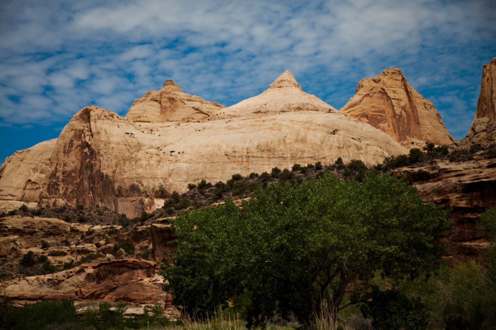 Walking Arizona: Navajo Sandstone Dome