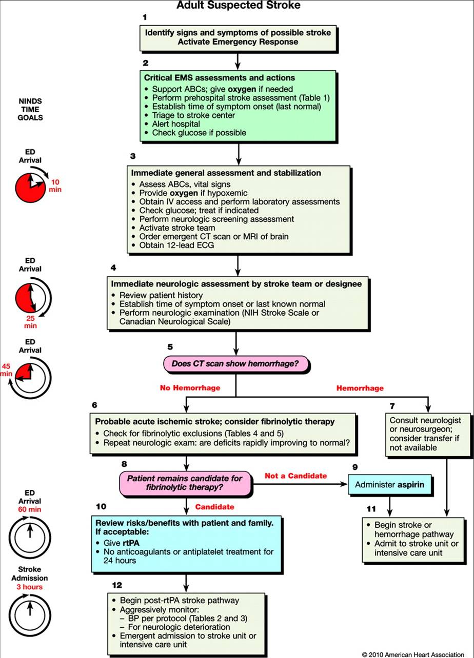 A & E Nurse's and Medic's View: BLS/ECC/ACLS Providers Updates (2010 ...