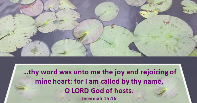 Digging a Well Ministries: THE JOY AND REJOICING OF MY HEART