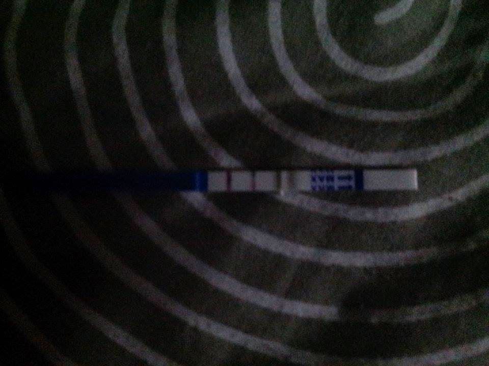 PREGNANCY TEST (UPT) MURAH GALLERY | Ovulation test kit (opk ...