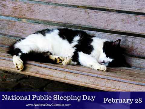 The PA-IN-Erudition: 2016-02-21