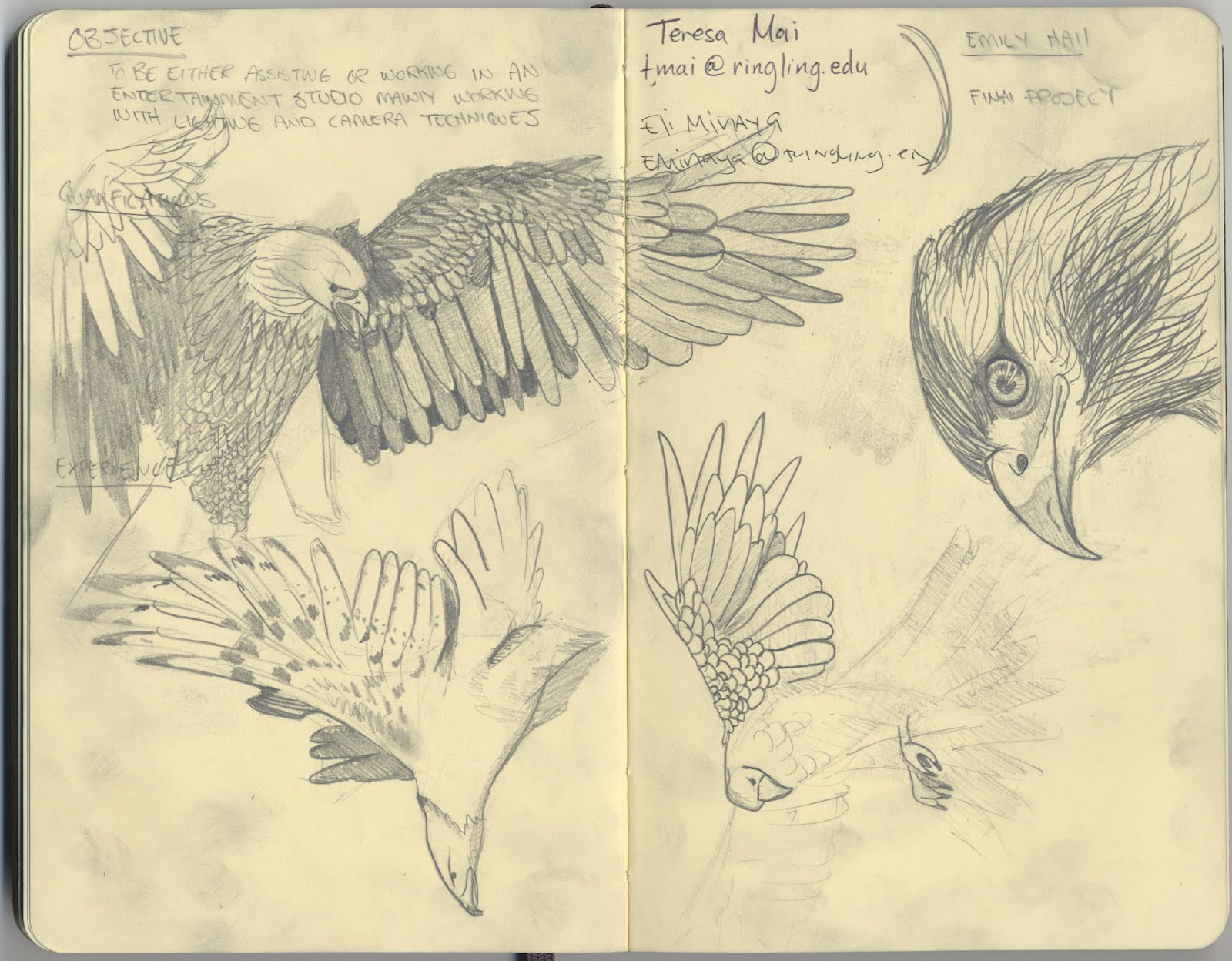 Digital Imaging 3: Parable Of A King And his Hawk