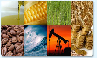 502 MATERIAS PRIMAS-3