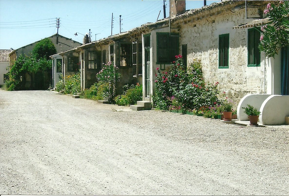 Tormos, la memoria del agua | Tormos y el pantano de La Sotonera