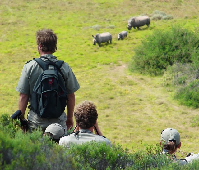 Life as a trainee field guide: Why Ulovane Environmental Training?