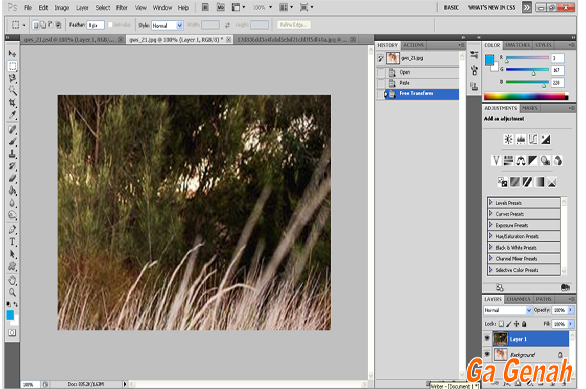 TUTORIAL PHOTOSHOP : MEMBUAT EFEK RUMPUT PADA GAMBAR