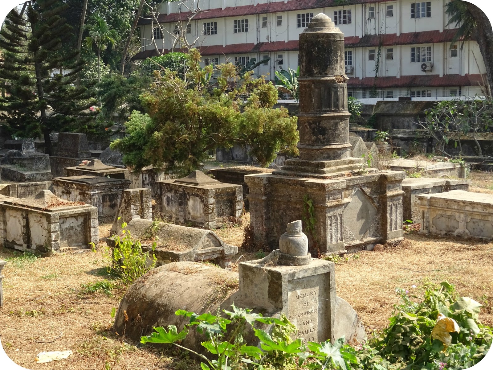 Vintage Vixen: Cochin On A Budget - Travels To Goa & Beyond