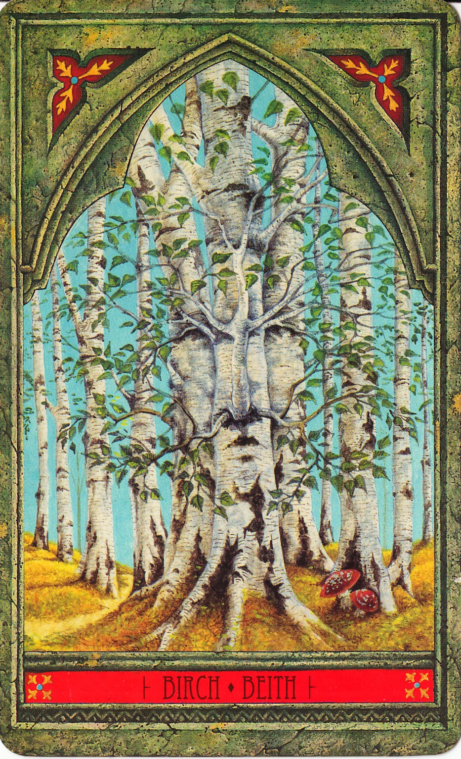Rowan Tarot: Green Man Tree Oracle: Birch