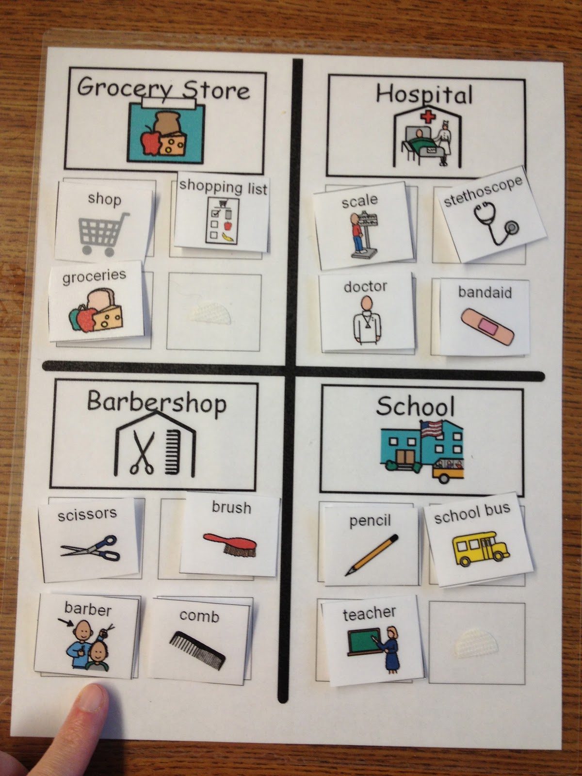 Autism Tank: Sorting Home and Community