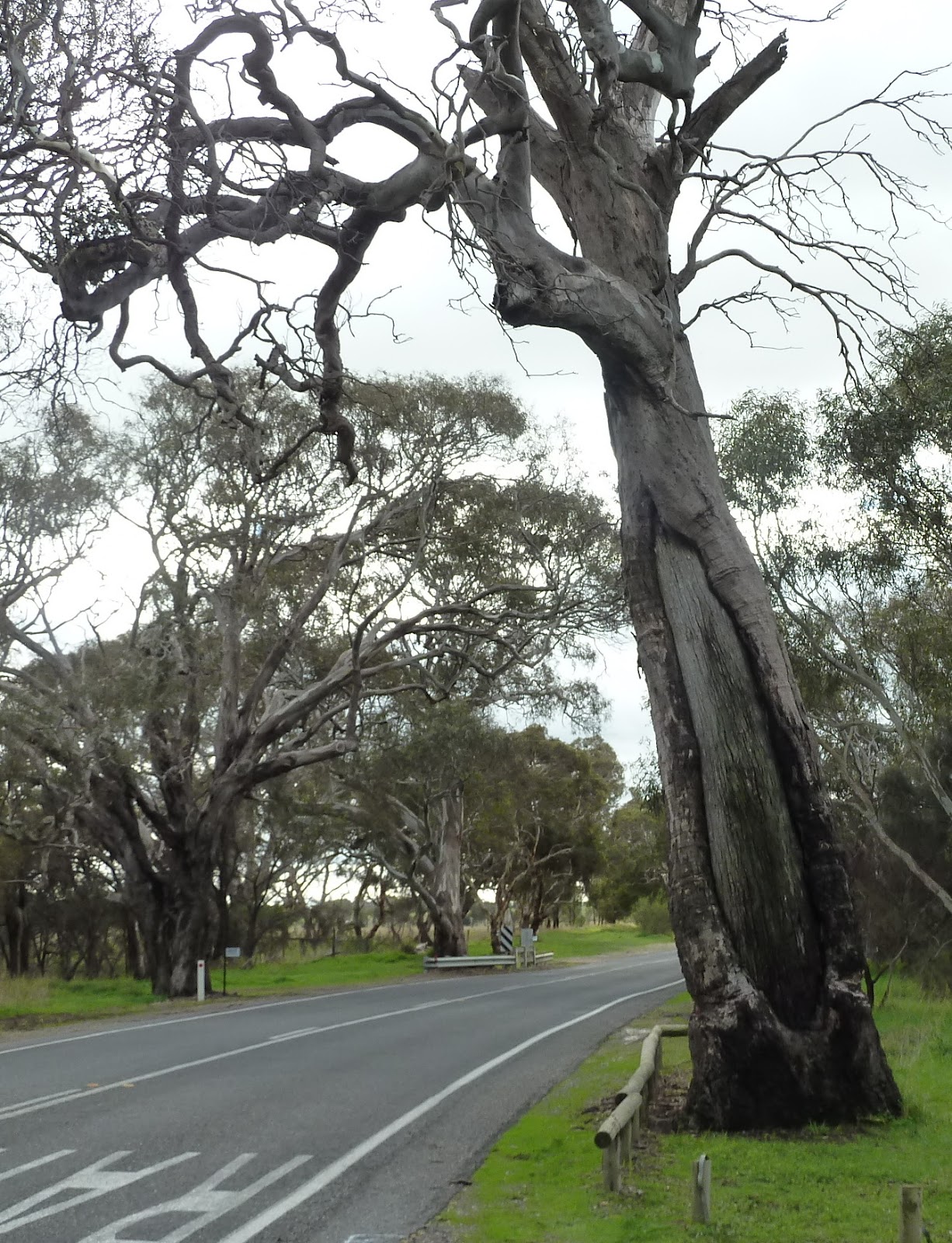 Musings of a wandering Vicar: May 2012