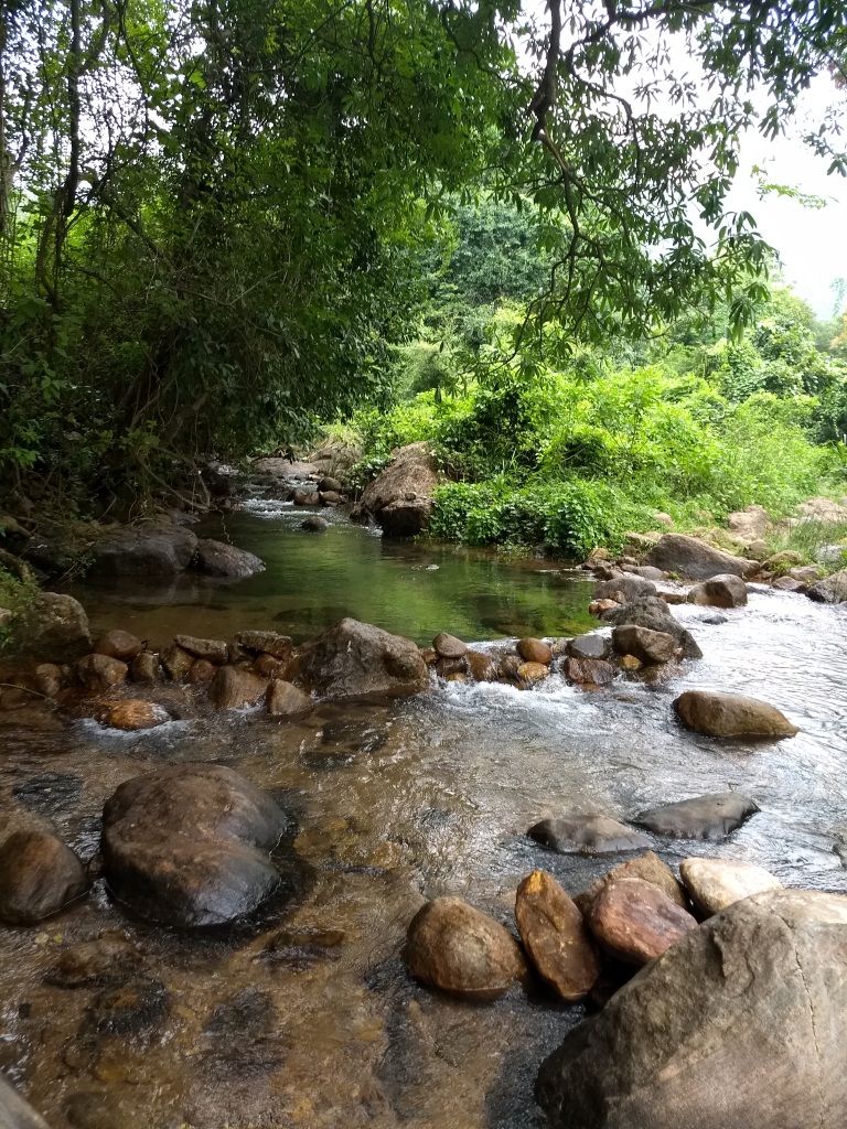 Tamilnadu Tourism: Ulakkai Aruvi Falls, Azhagiapandipuram, Kanyakumari