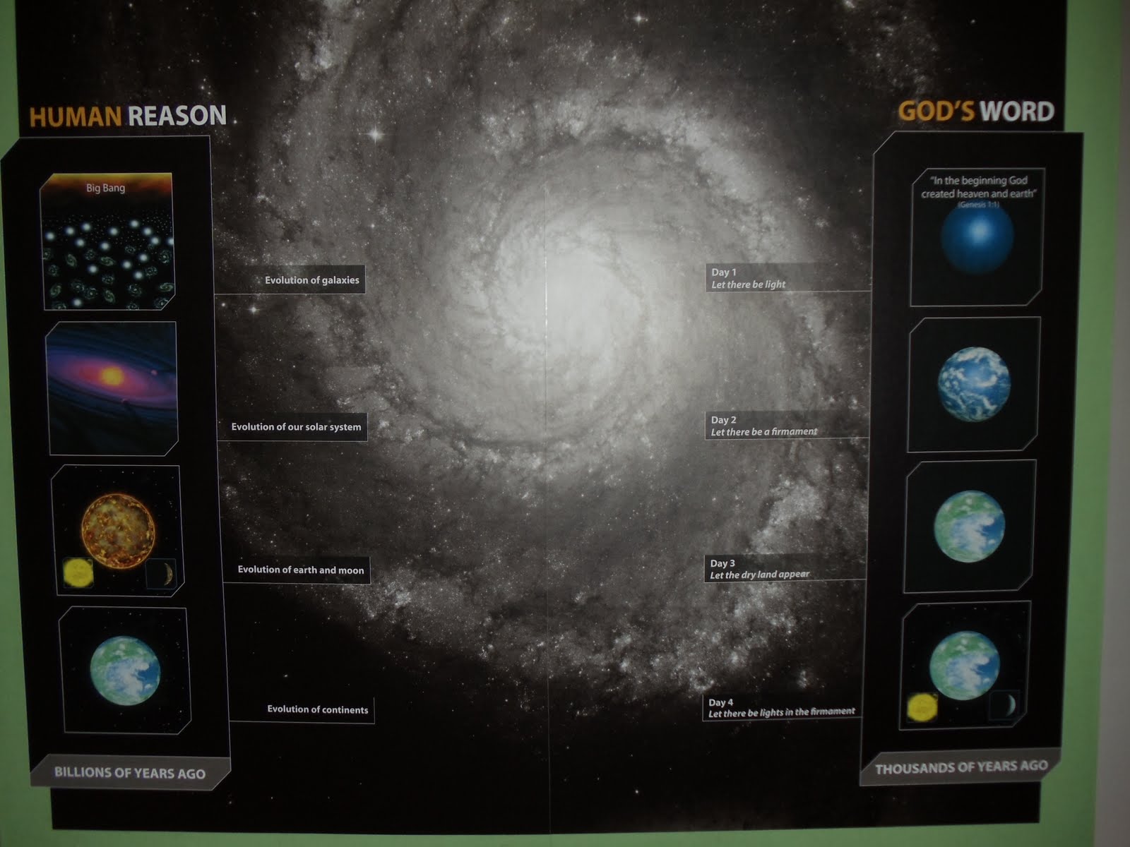 Strelitzia: Creation Museum