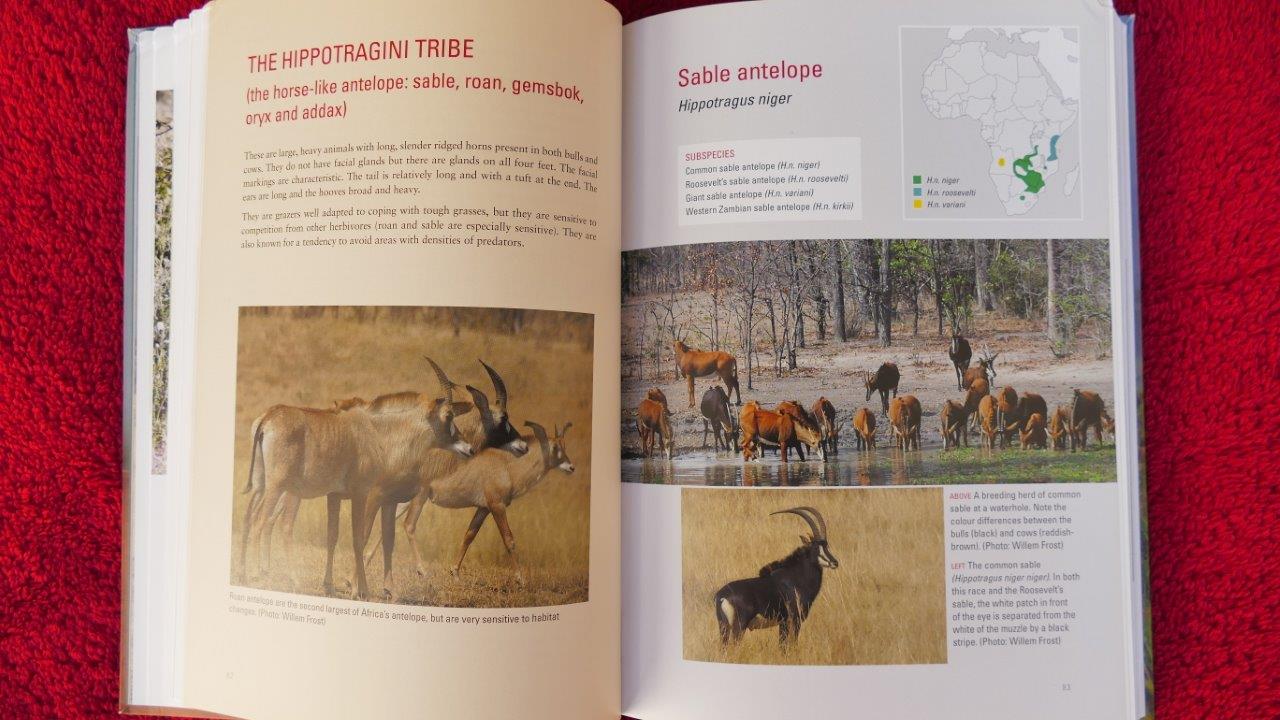Southern Africa's Ramsar Sites: The Antelope of Africa