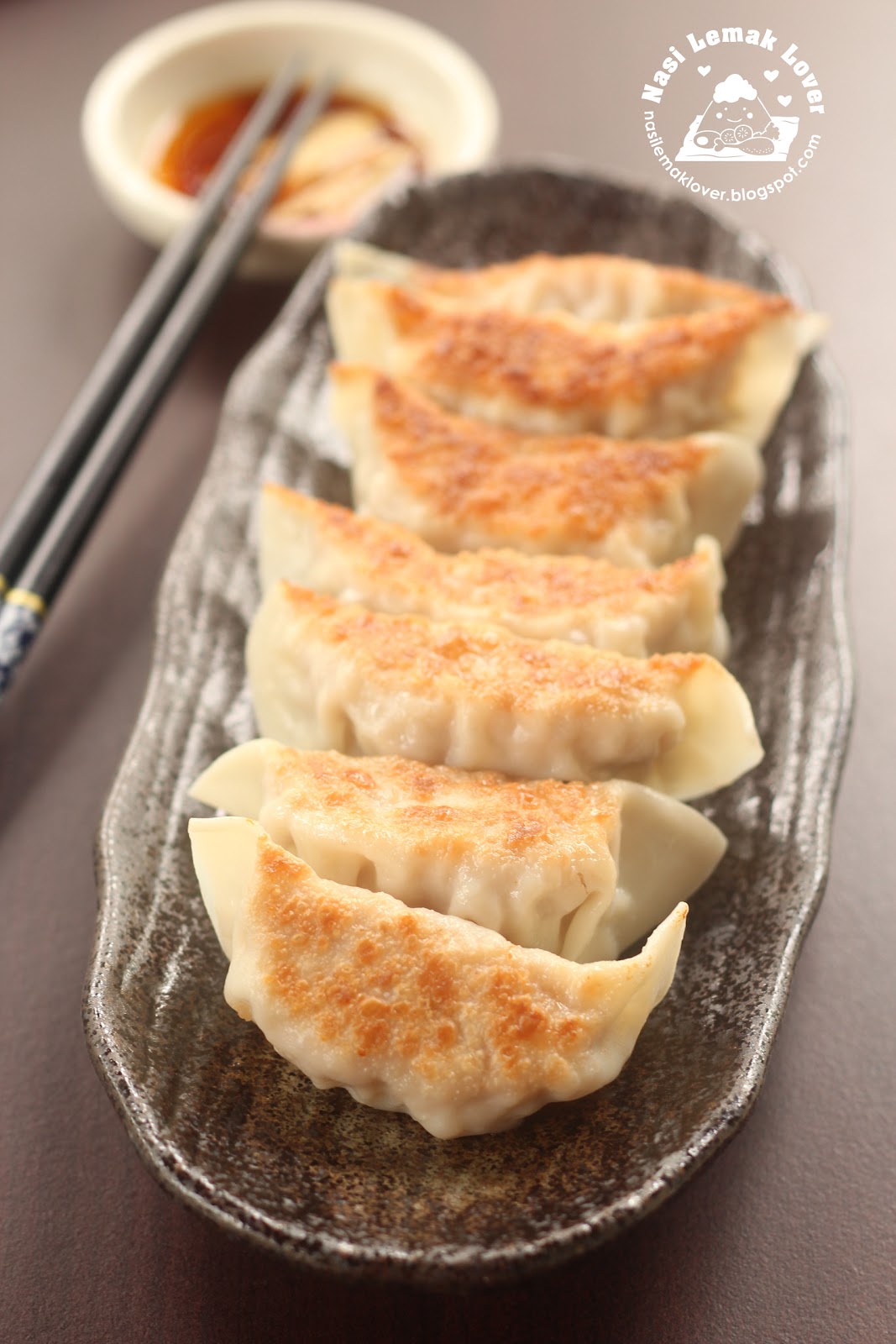 Nasi Lemak Lover: Japanese Gyoza (Potstickers) 餃子