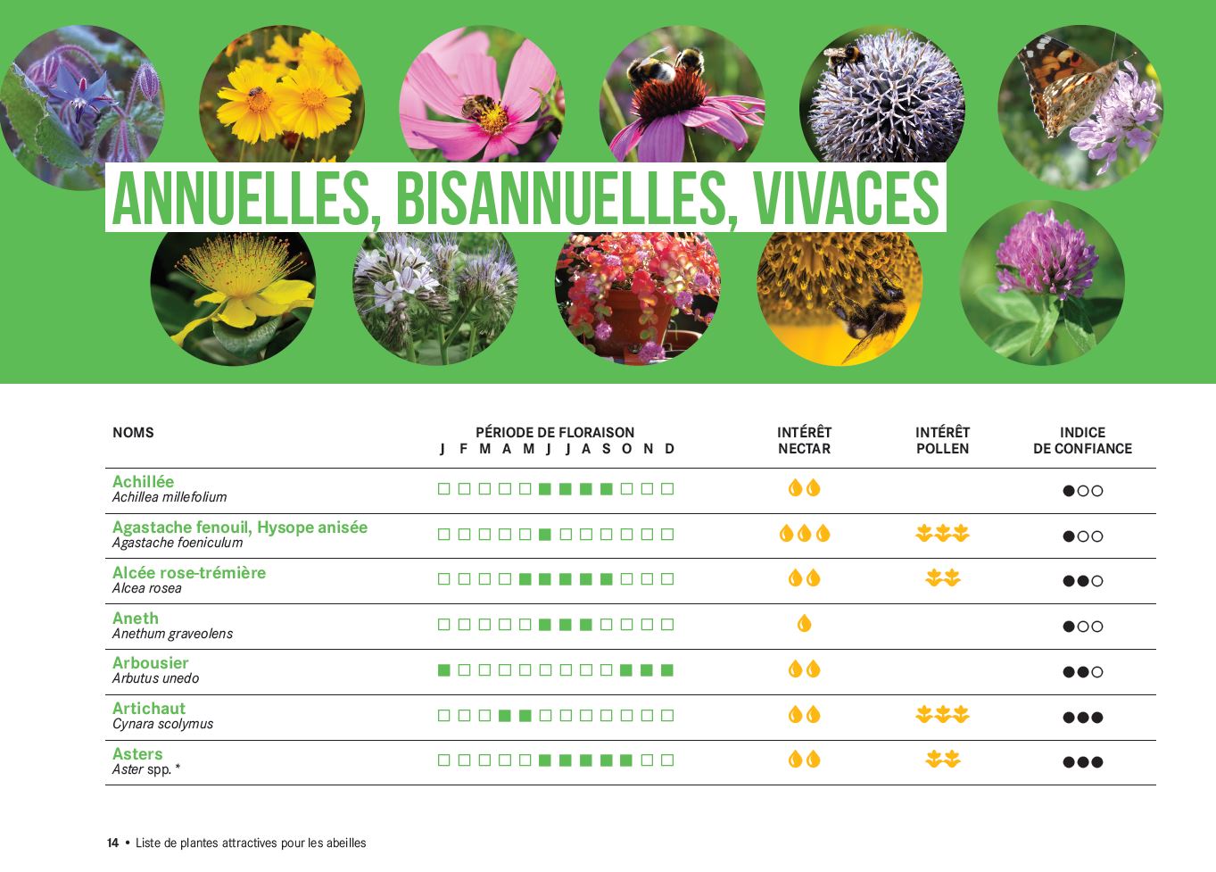 Breuillet Nature: Une liste de 200 plantes nectarifères et pollinifères ...