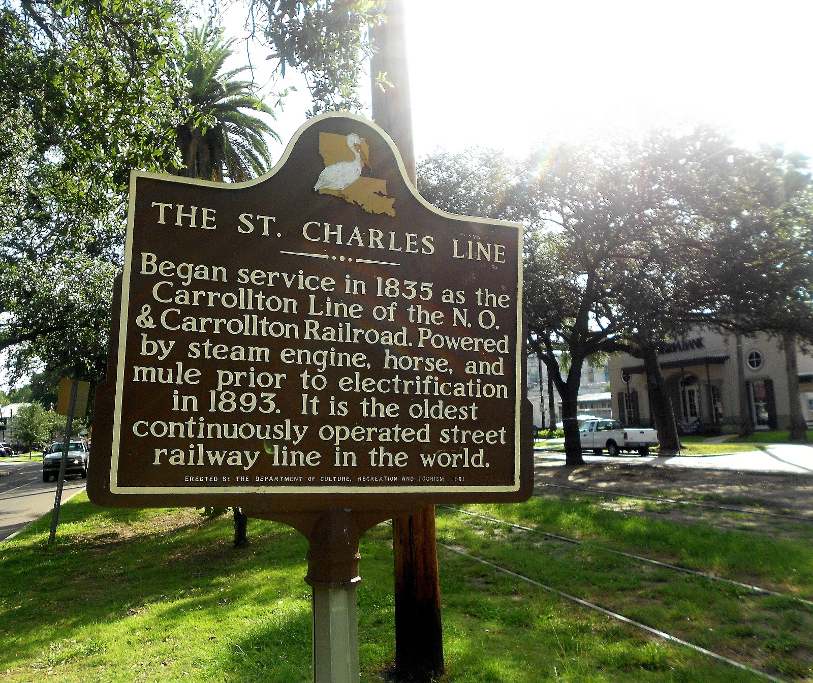 Smitten: Porch Honky, Bourbon St, and Alligators!!