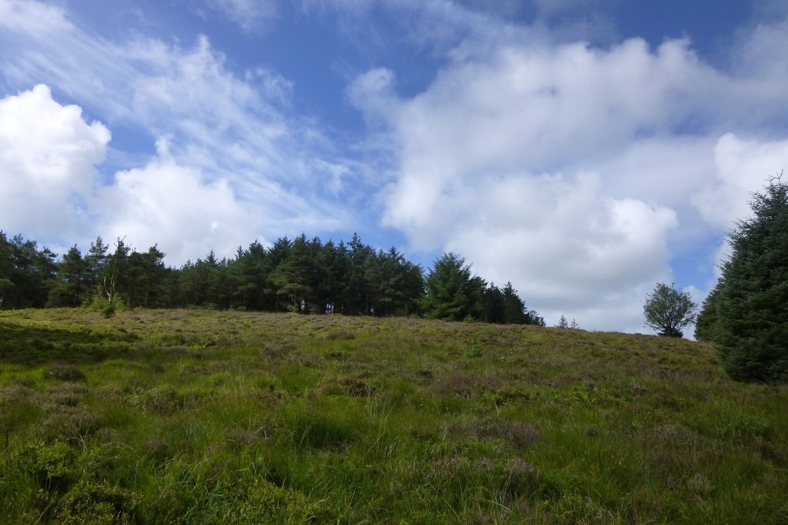 5 Ladybird Lane: Summer Holiday - Snap of the Day (Beacon Fell Country ...