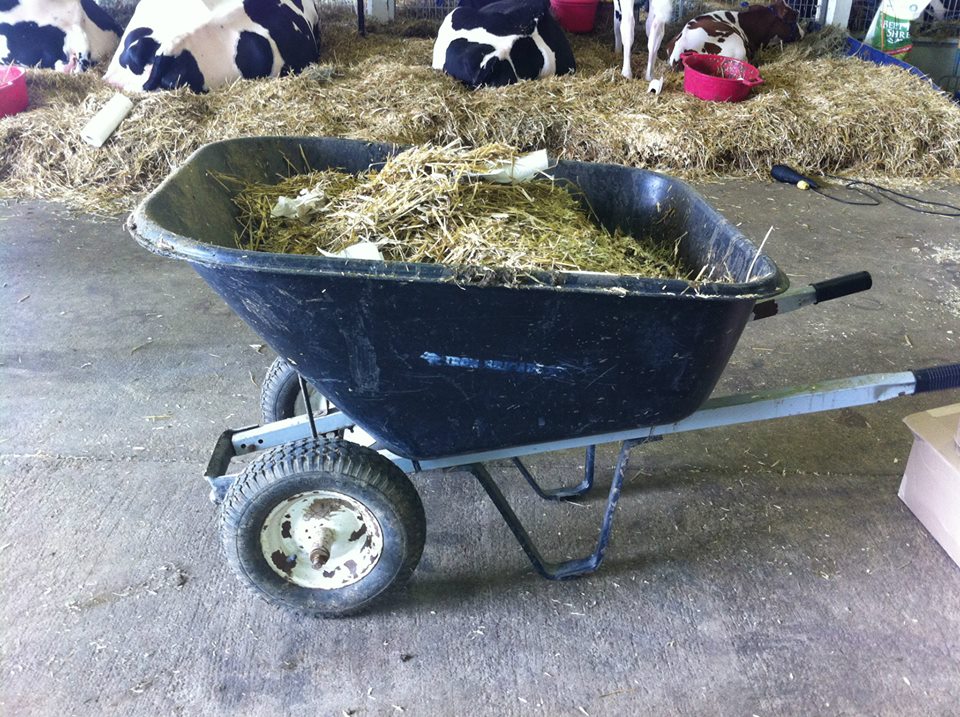 Wheelbarrows: Two cool wheels