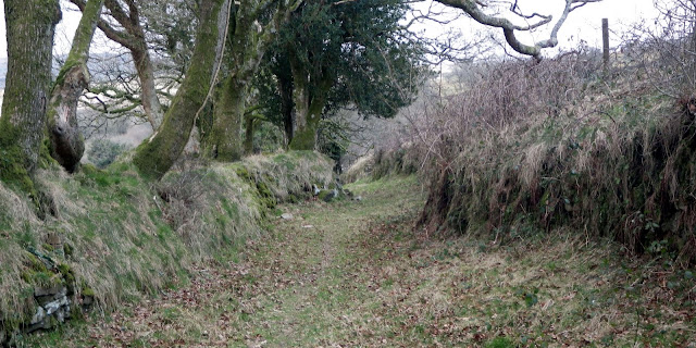 My Dartmoor Walks: Sunday 24th February The Walkhampton Plaques